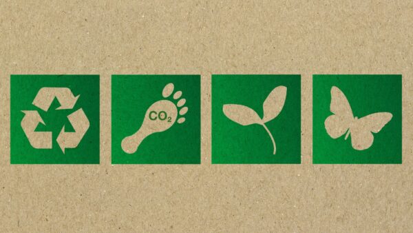 Green Guarding: Leveraging Technology for Sustainable Security ...